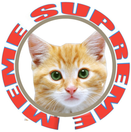 Cat Meme Supreme | Minds