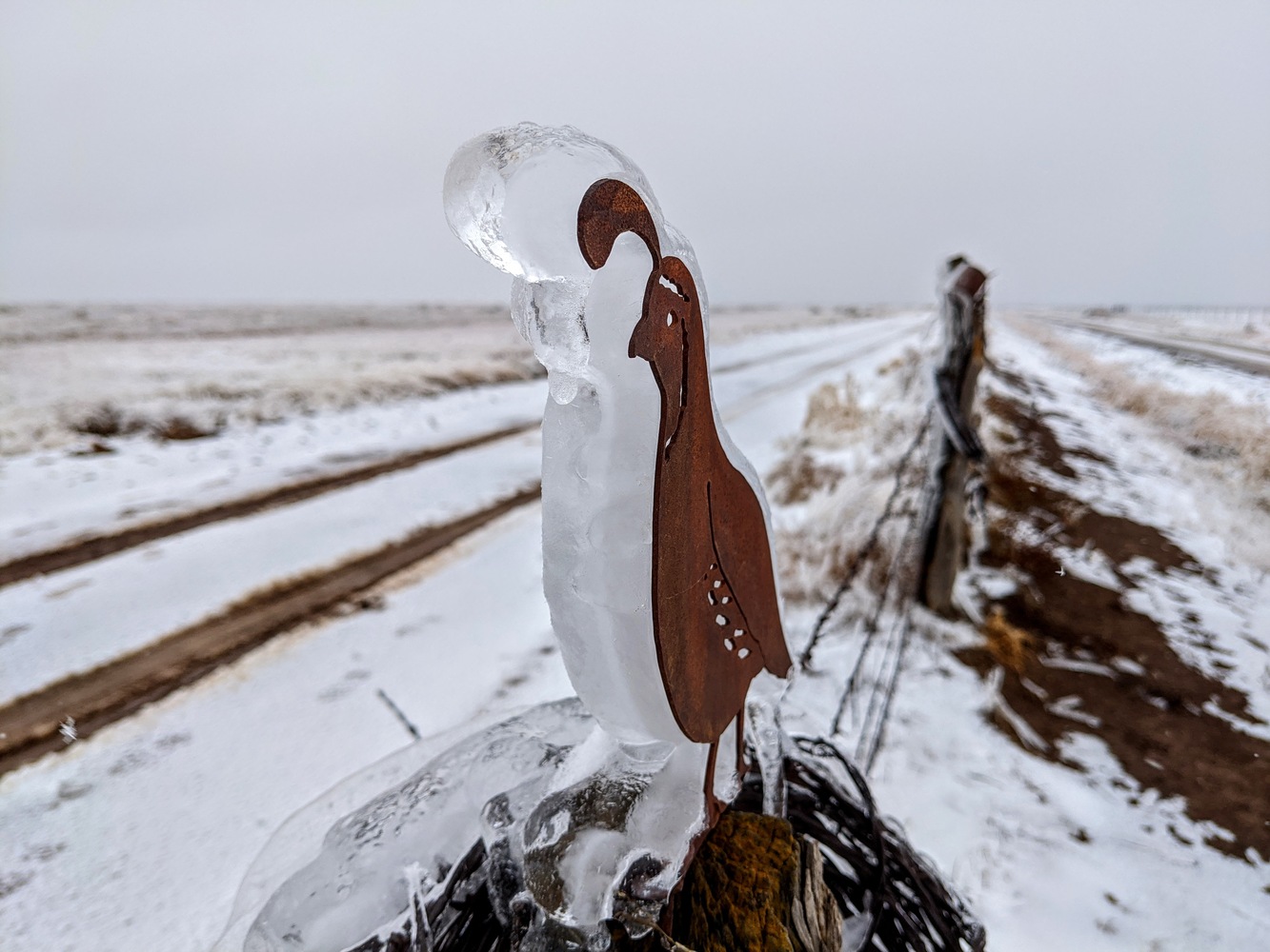 Winter Storm on a Ranch in the Texas Panhandle - October ... | Minds