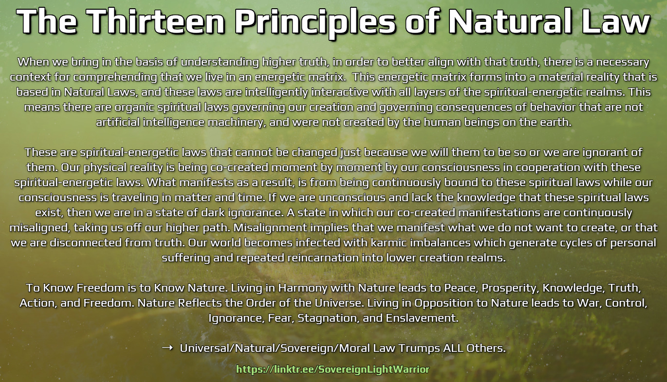 The Thirteen Principles of Natural Law | Minds