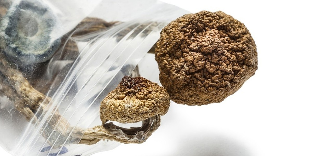 Johns Hopkins Study Finds Psilocybin's Ideal Dose For Lon... | Minds