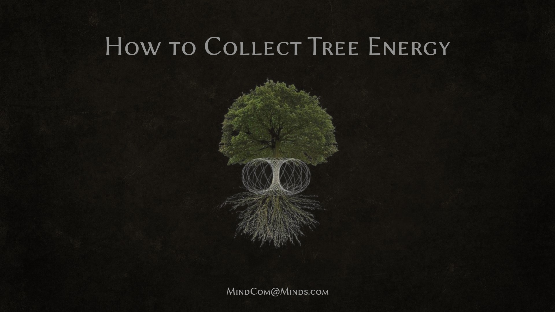 How to Collect Tree Energy | Minds