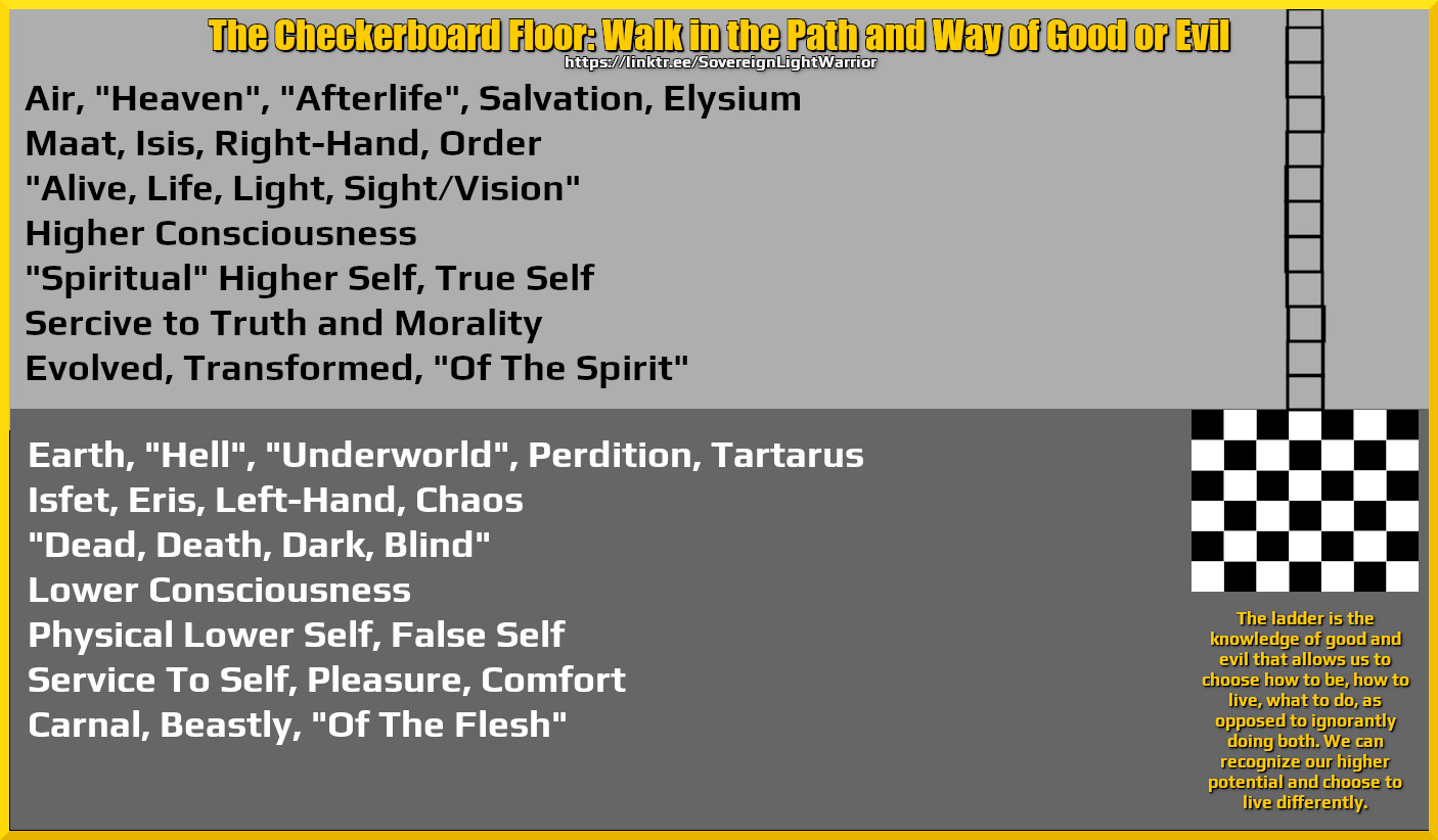 The Checkerboard Floor: Walk in the Path and Way of Goo... | Minds