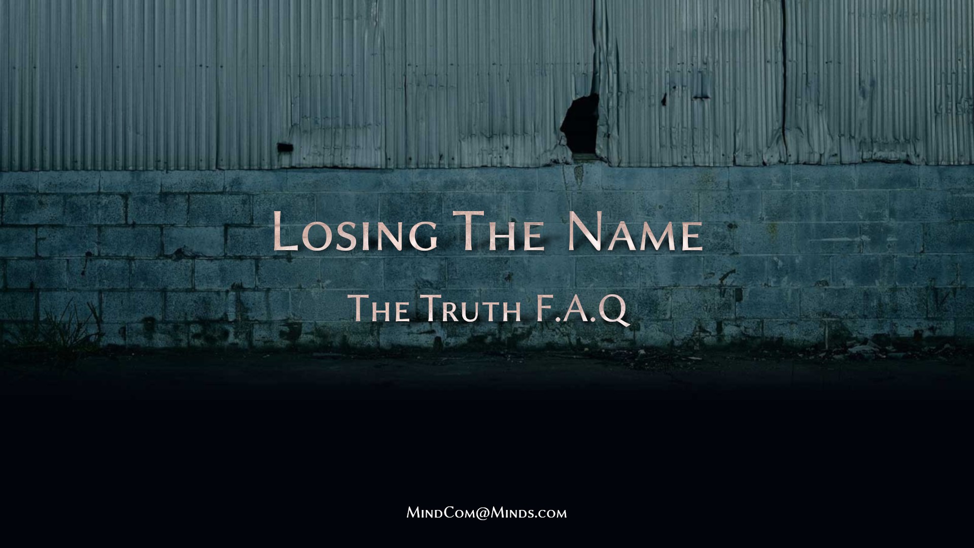 Losing The Name | Minds