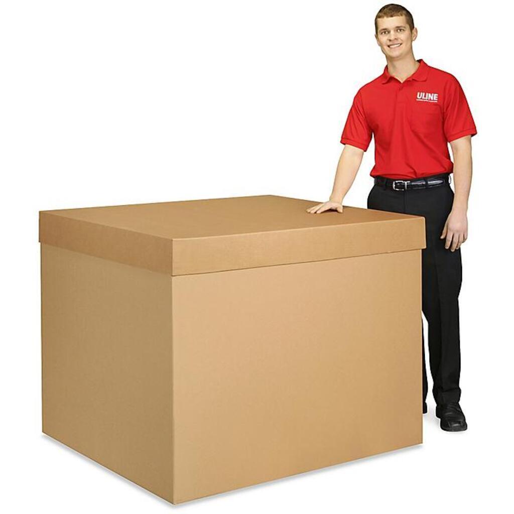 Otto_Didactic (@Otto_Didactic) | Minds