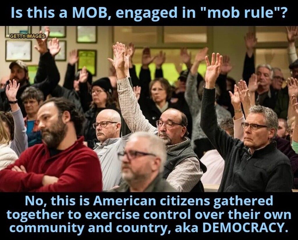 mob [mäb] noun a large crowd of people, especially one th... | Minds